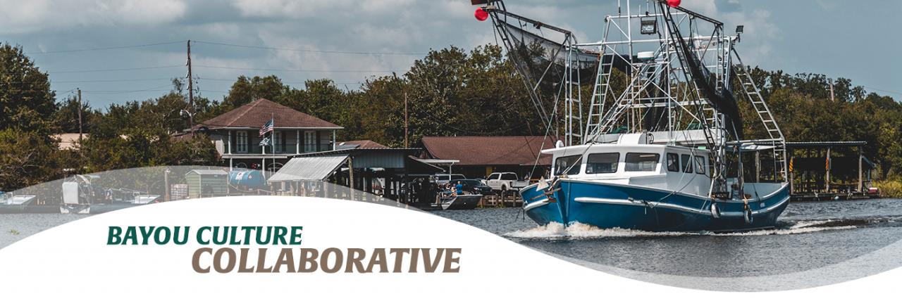 Bayou Culture Collaborative | SLWDC