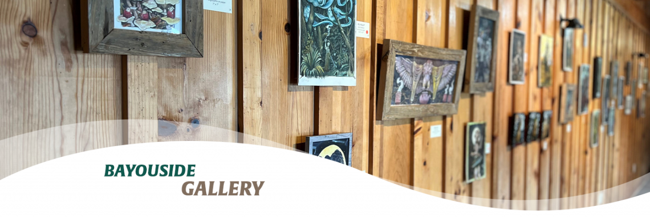 Bayouside Gallery | SLWDC